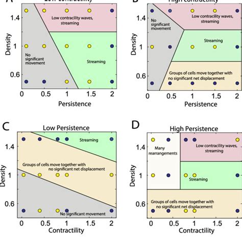 Behavior Of The Correlation Length As A Function Of Cell Density