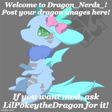Cute Dragon Imgflip