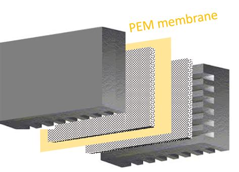Electrolyzer I Watercarbon Dioxide I Ecscell Ecscell