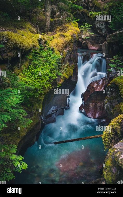 Avalanche Creek Waterfall Glacier National Park Montana Usa Stock
