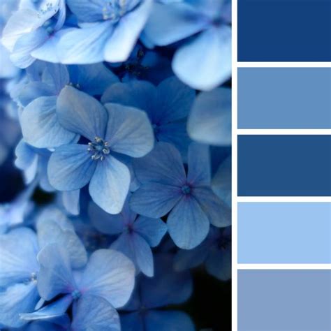 Blue Flower Pallet