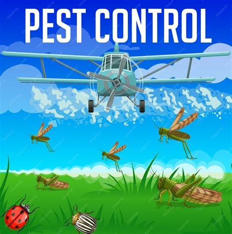 Premium Vector Locust Grasshopper Colorado Beetle Pest Control