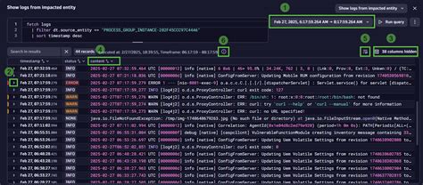 Gain Insights — Dynatrace Docs