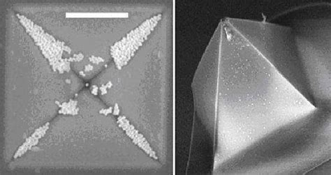 Figure 2 From Progress In Three Dimensional Coherent X Ray Diffraction