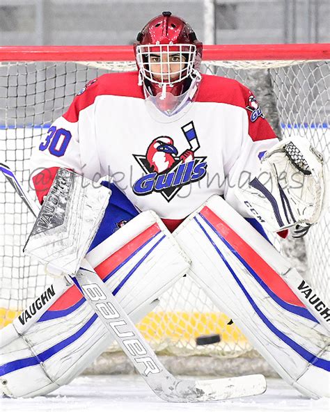 Matthew Macarthur Stats And Facts Elite Prospects
