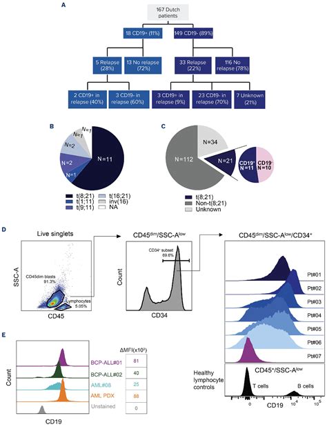 Repurposing Cd19 Directed Immunotherapies For Pediatric T 8 21 Acute Myeloid Leukemia