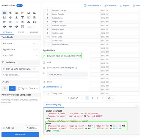 Date Filter Holistics Docs
