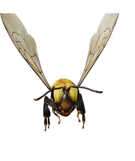 3d Bee Collection Opensea