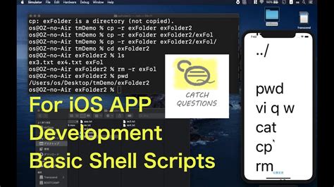 Shell Script For Beginner Would Be Linux Command Line Terminal Commands Catch Questions