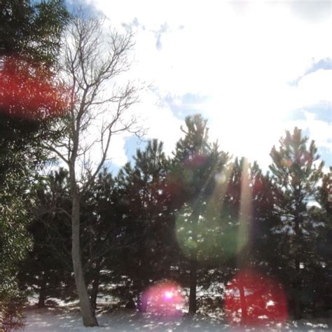 Stream Small Palms By Ixosyd Listen Online For Free On Soundcloud