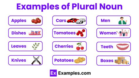 Plural Nouns упражнения