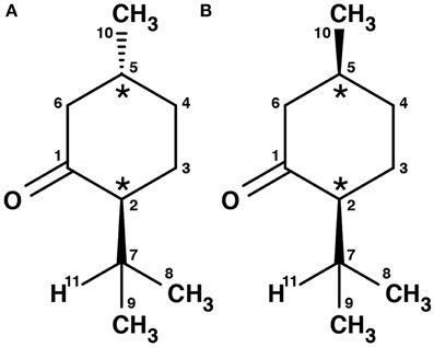 Frontiers Exploring The Conformational Landscape Of Menthol Menthone