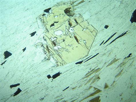 Staurolite Thin Section