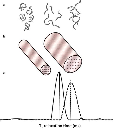 Nmr Based Meat Analysis Creative Biostructure