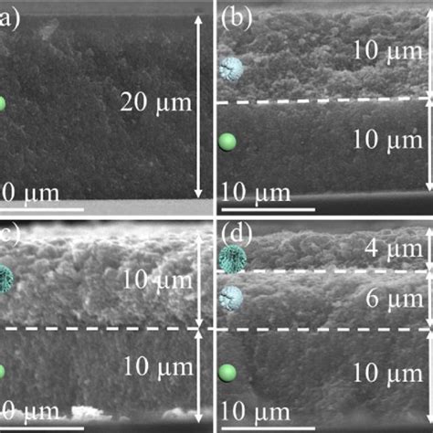 FE SEM TEM And HR TEM Images Of As Prepared Samples A B C HTNPs Download Scientific