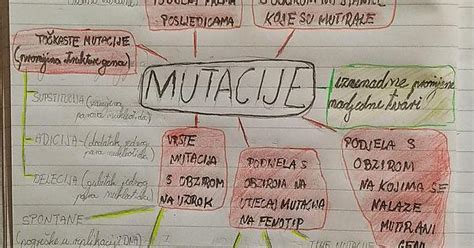 Biologija Mutacije Umna Mapa Album On Imgur