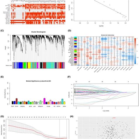 Data Set Sample Description And Flow Chart A Clinicopathological