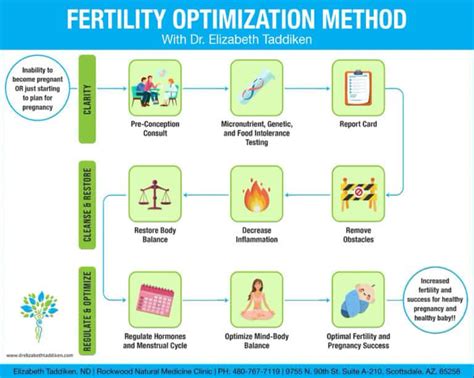 Fertility Optimization Method A Naturopathic Solution To Infertility