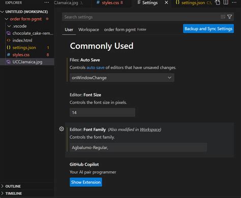 How To Import Custom Fonts In Html Html Css The Freecodecamp Forum