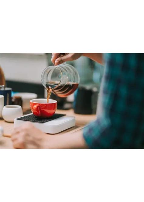 Best Coffee Scale Showdown 5 Models You Cant Miss