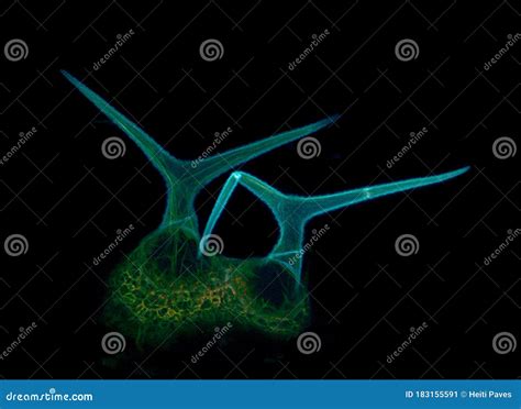 Microfilaments Cartoons Illustrations And Vector Stock Images 52 Pictures To Download From