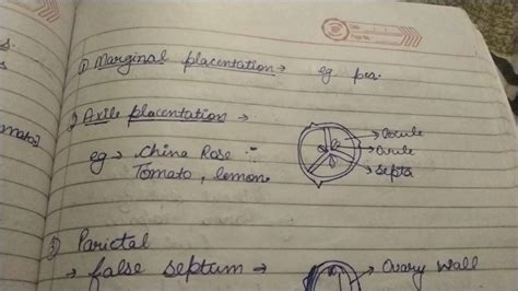 1 Marginal Placentation → Eg Pea Filo