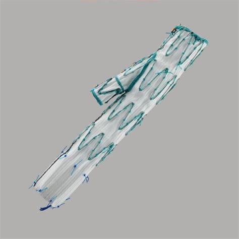 Zenith Branch Endovascular Graft Iliac Bifurcation