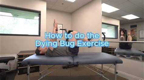 Dying Bug Exercise Abdominal Strengthening Youtube