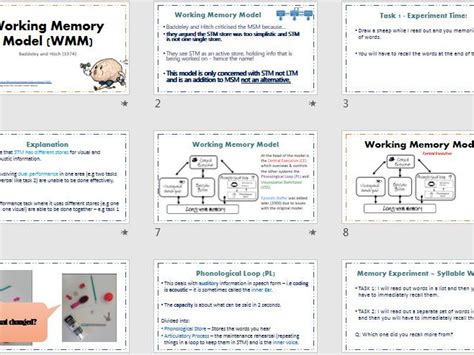 Working Memory Model Lesson Teaching Resources