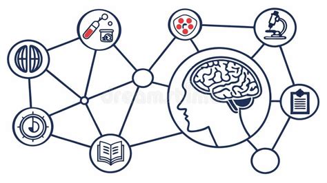 Brain Network Neural Connections Cognitive Function And Mind Map