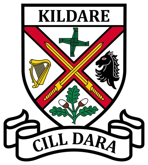 County Kildare Jerseys Flags And Accessories County Collectibles