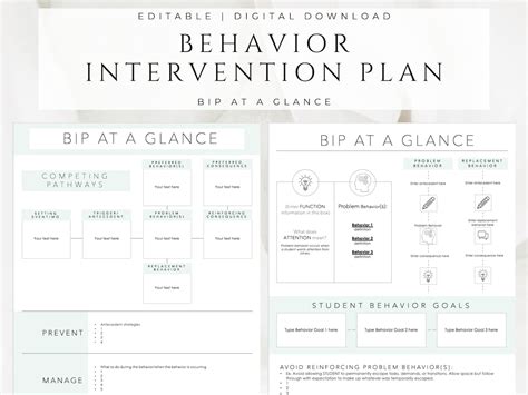 Editable Behavior Intervention Plan Bip Template Microsoft Ppt