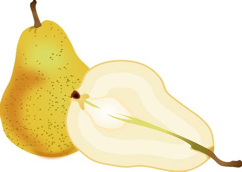 150 Free Pears Clipart Images