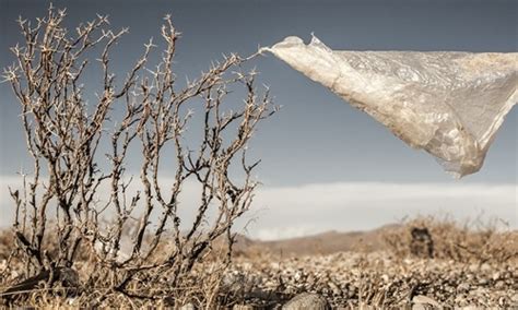 12 Powerful Images Who Will Win The Environmental Photographer Of The