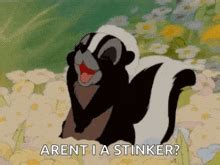 Skunk Furry  Skunk Furry Stinky Discover And Share S