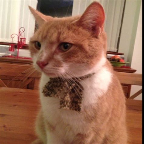 Stream Charles Mann Music Listen To Songs Albums Playlists For Free On Soundcloud