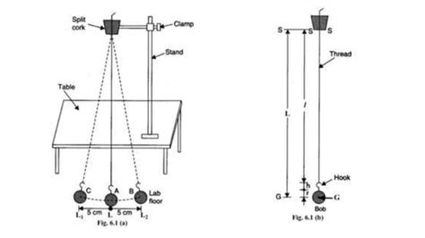 Phhysics Investigatory Projectpptx