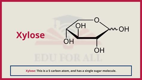 10 Examples Of Monosaccharides