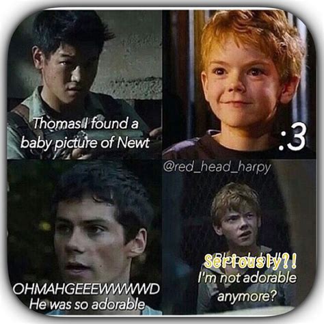 Pin By Matilda Schibbye On Jokes Maze Runner Funny Maze Runner