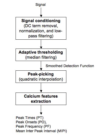 Calcium Signal Analyser Isophonics