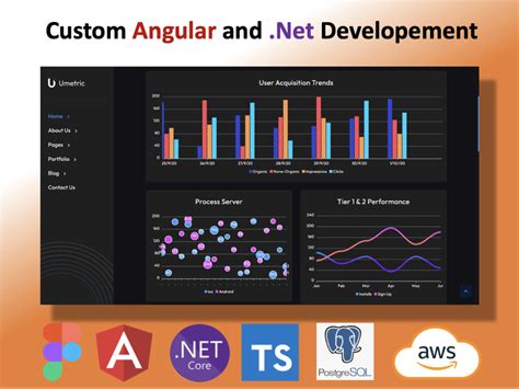 A Fully Developed Custom Web Application In Angular Net Postgress
