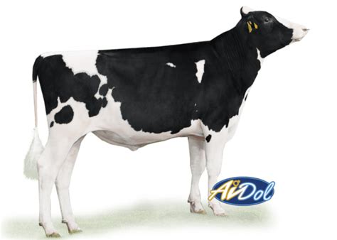 Space Prosire Genetics