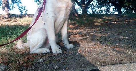 Hatz Johnule Album On Imgur