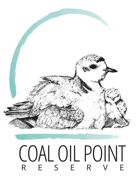 Ella Markley On Linkedin I Am Excited To Share That This Summer I Will