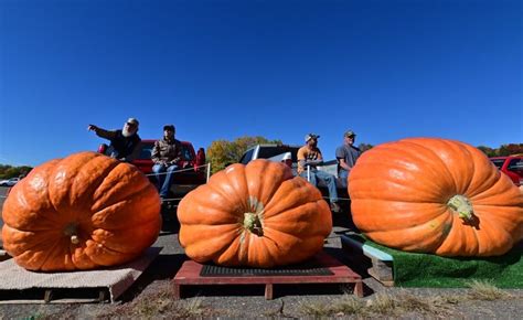 9 Fall Festivals In Minnesota Worth The Trip For Their Food