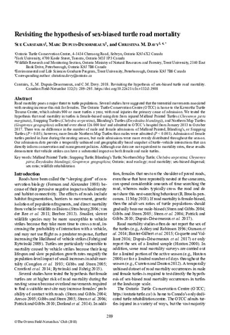 Pdf Revisiting The Hypothesis Of Sex Biased Turtle Road Mortality
