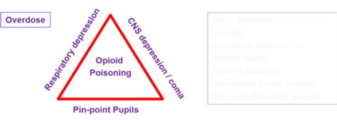 Neuro Opioid Analgesics Flashcards Quizlet Neuro Opioid Analgesics Flashcards Quizlet