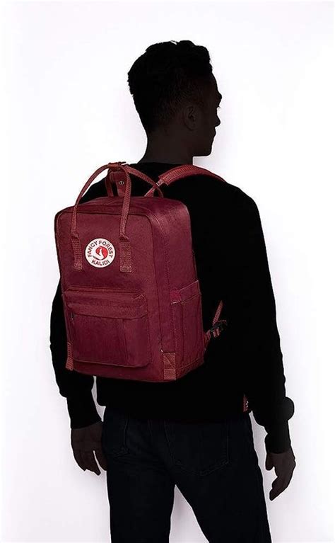 Dagrugzak Voor Vol En Kinderen Met Laptops Voor Laptops Van 15 Inch Wijnrood Bol