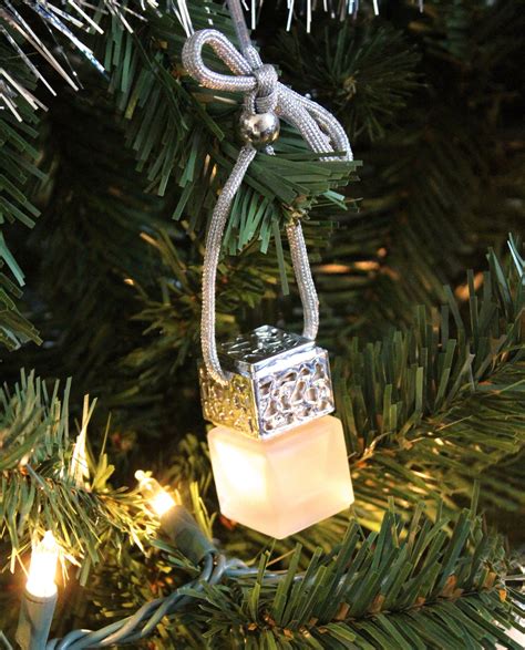 Silver Passive Diffuser Scent Your Space With Essential Oils Plantlife