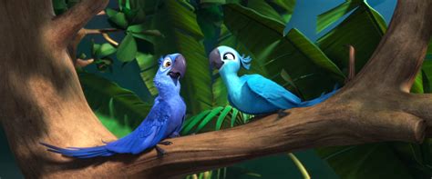 Image Jewel And Rio By Kludd17 D3dp2r6  Rio Wiki Fandom